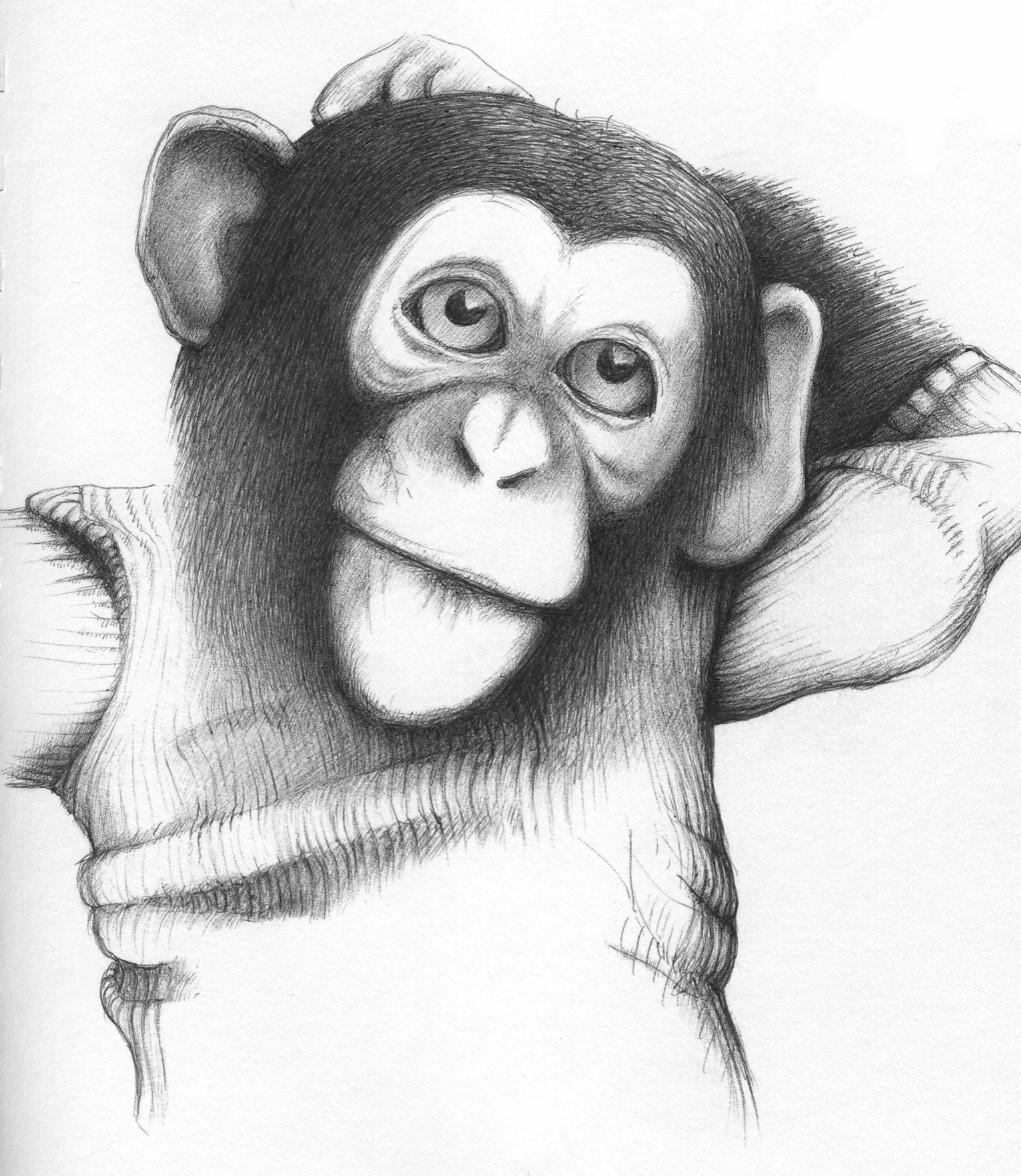 Art – David Brebner